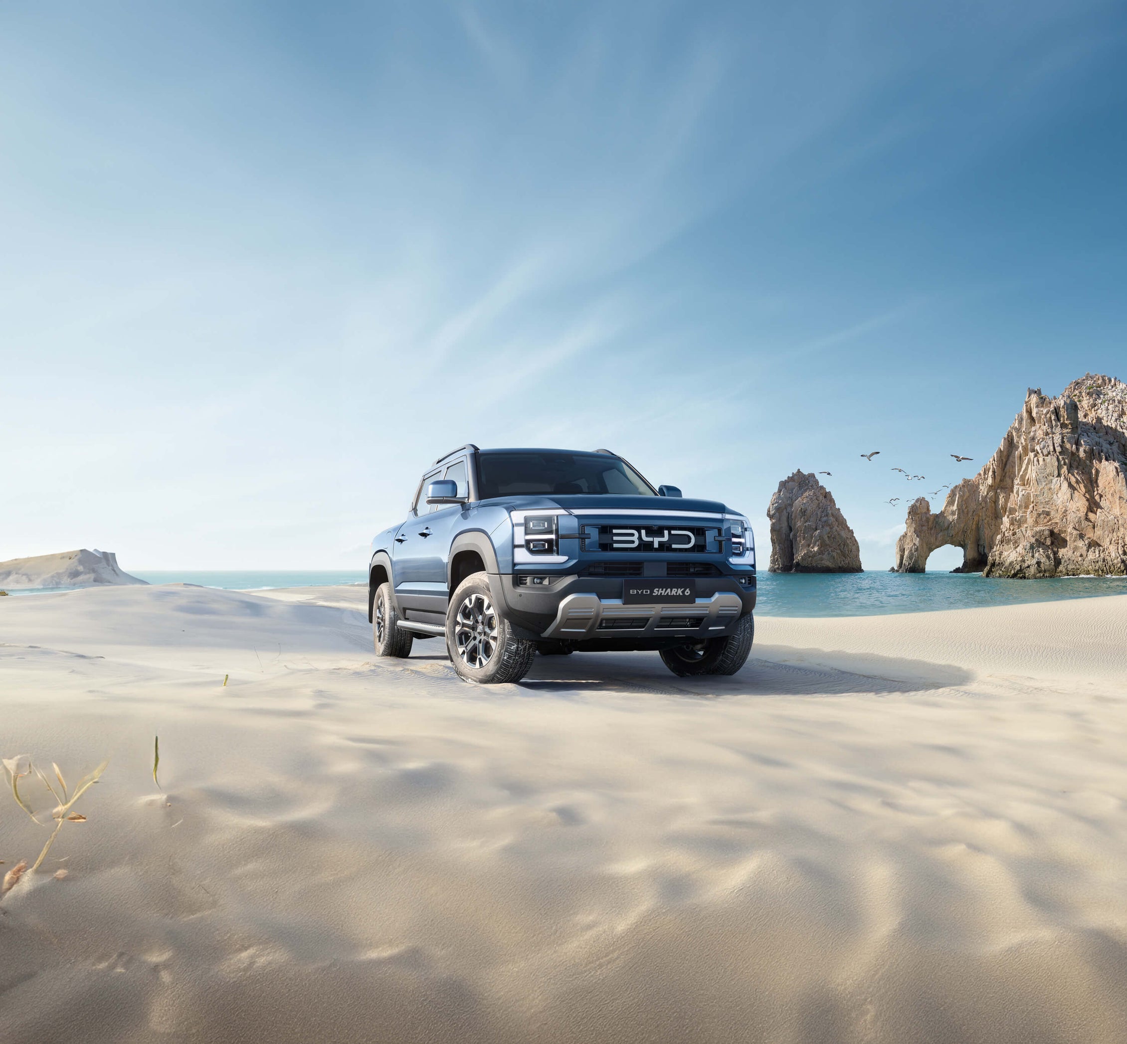 SHARK – BYD ACCESSORIES AUS